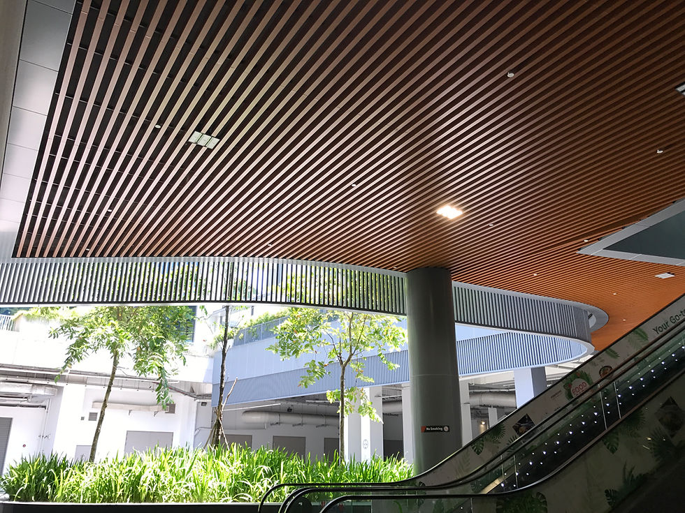 Ceiling Solutions | Finmat