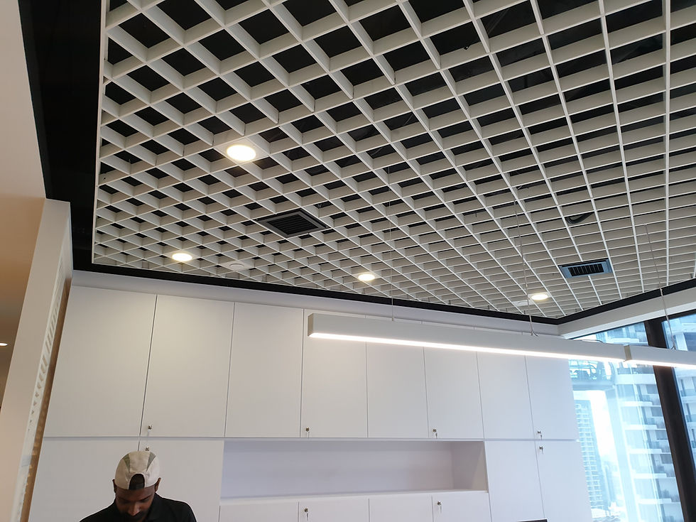 Ceiling Solutions | Finmat