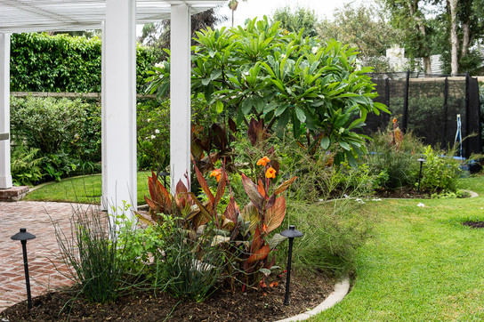 Home | Caliscapes OC | Landscaping Services | Orange County, CA