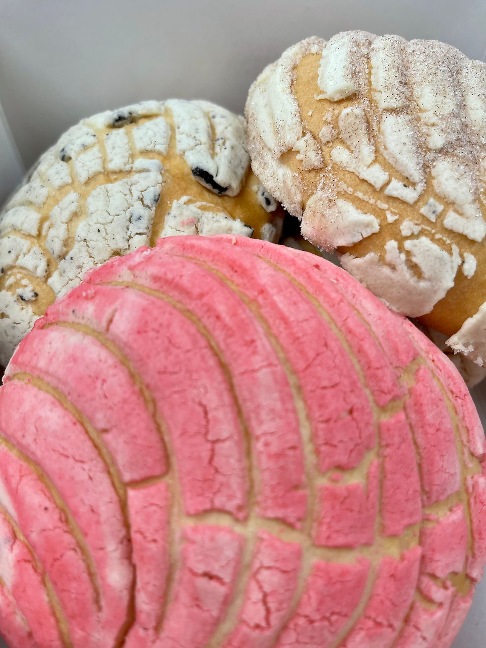 Gourmet Conchas | Alebrijes Bakery