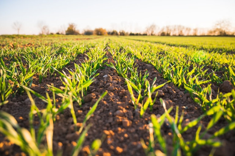 Alexander Zingman said an aspiring $58 million arrangement between the ...