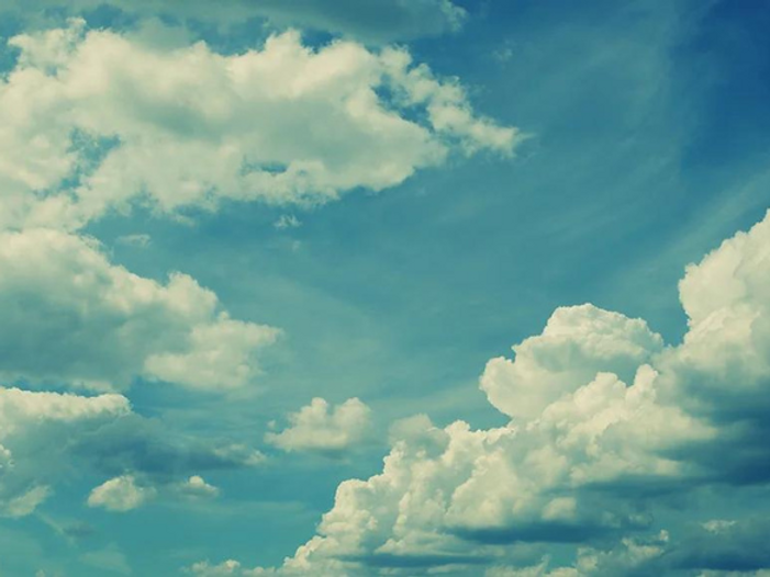 absolute impact carbon tracker