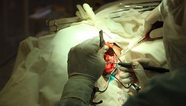 cochlear implant cpt code 2024