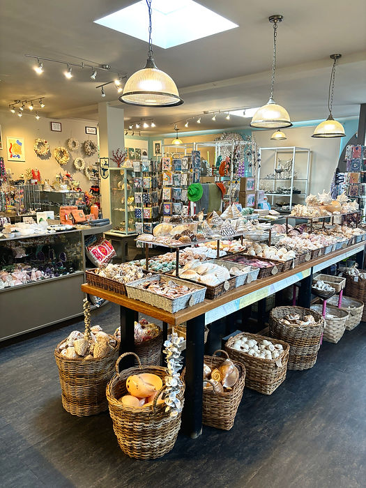 Visit | Shell Grotto