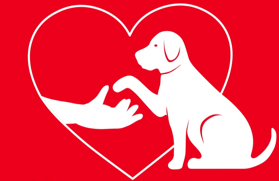 Helpful Hounds Therapy Dogs