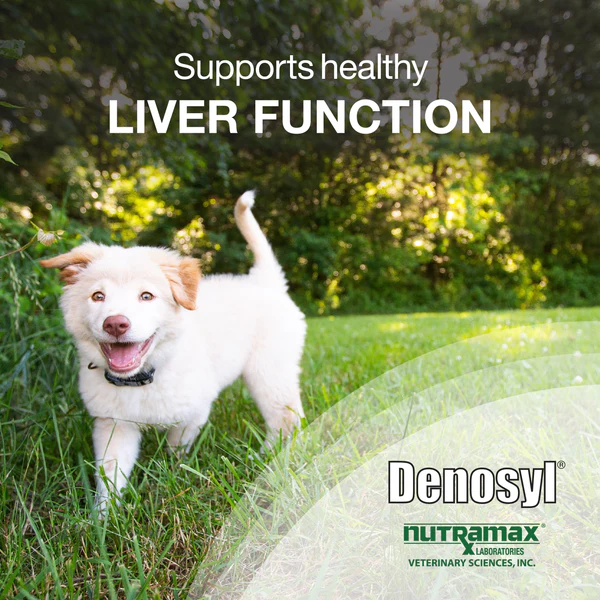 Nutramax Denosyl Liver and Brain Health Supplement for Medium dogs ...