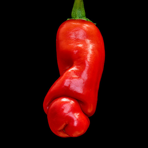 Peter Pepper red | Borderlandpeppers