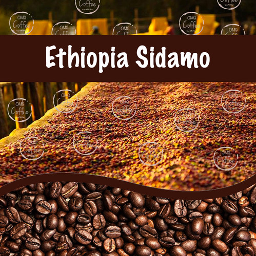 Organic Ethiopia Sidamo Coffee | Omg Coffee Company