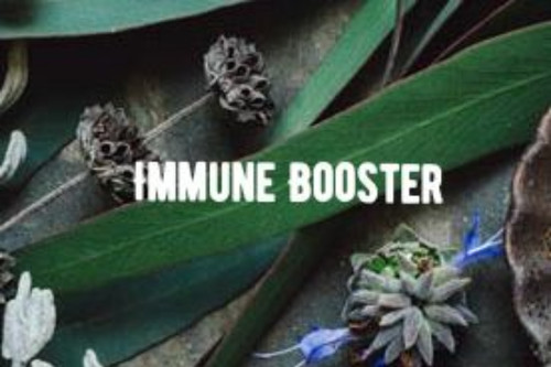 Immune Booster (1 oz) | The Magic Soul