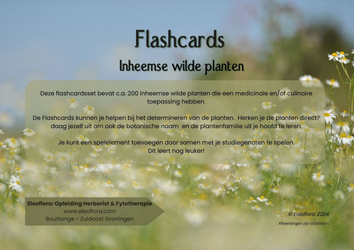 Flashcards - Inheemse planten - DIY