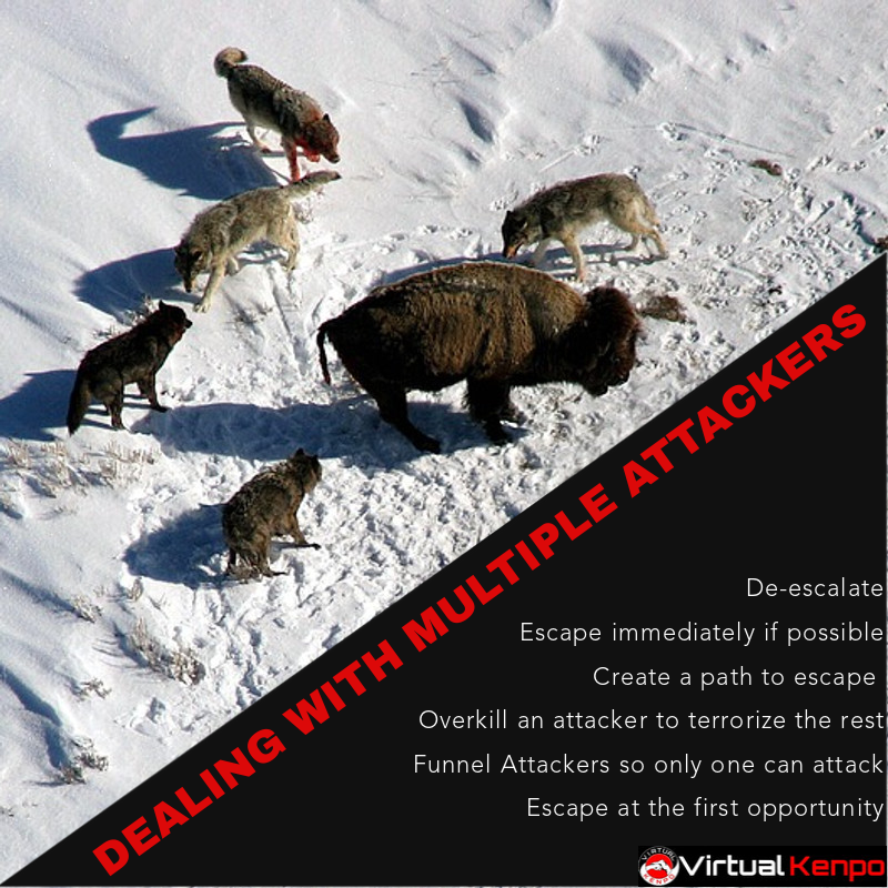 Guide to Handling Multiple Attackers in a Street Fight