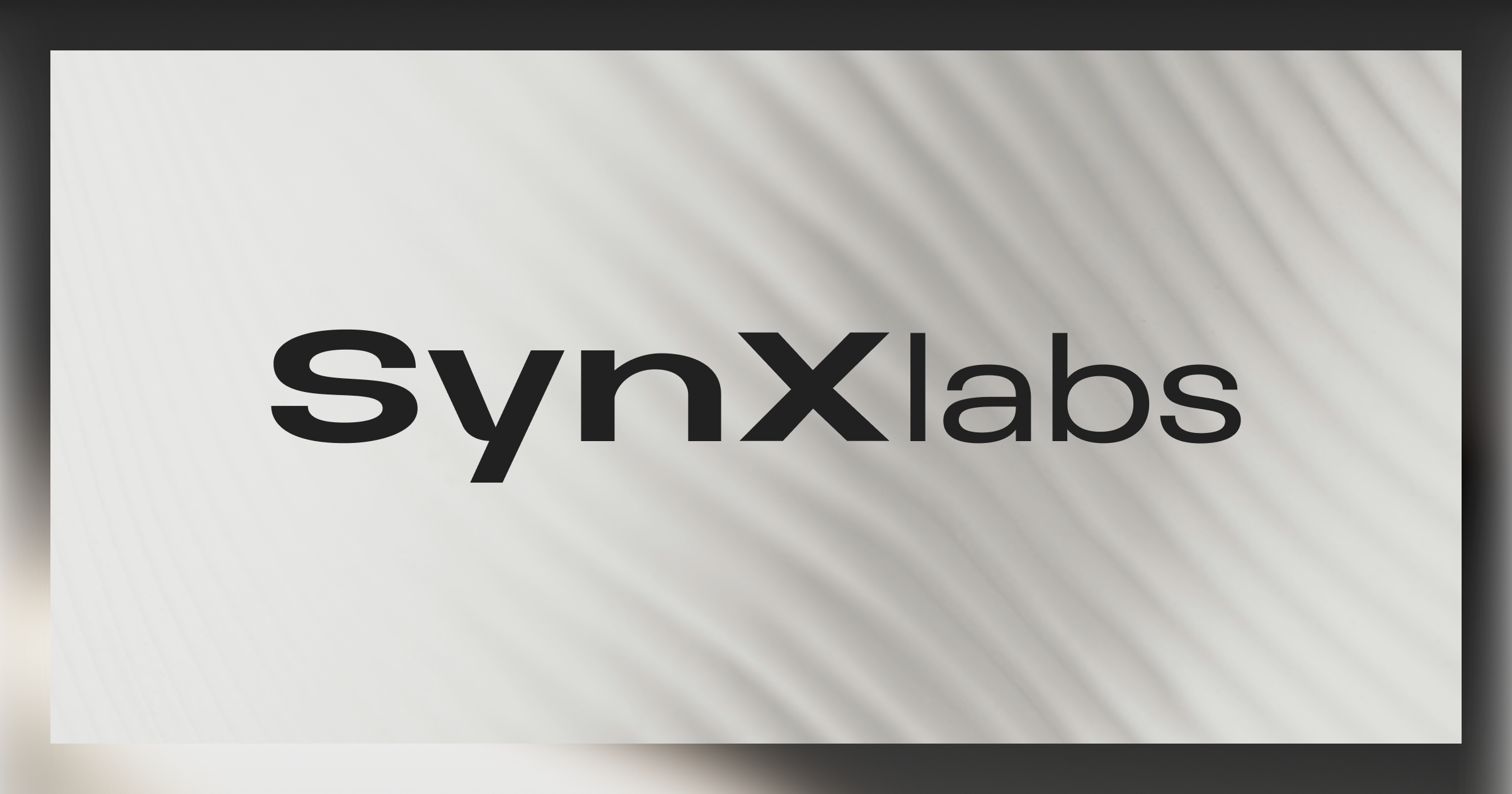 Terms of Use | SynX Labs