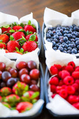 Tennessee Fainting Goats | Keleman Point Farm | Peninsula