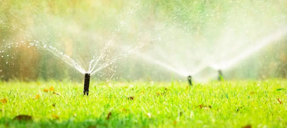 Irrigation | reliable irrigation in usa