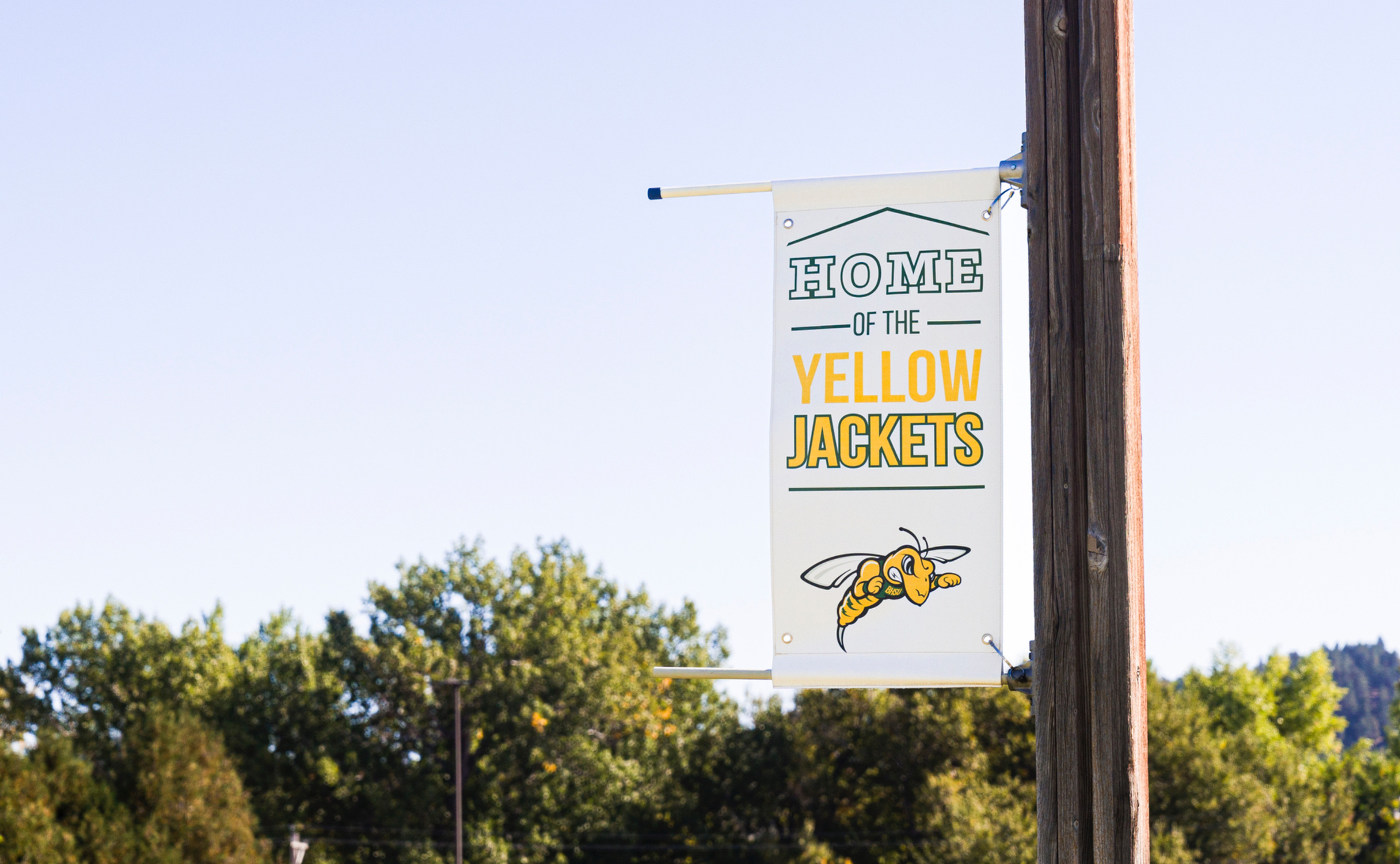 Swarm Days | BHSU Foundation