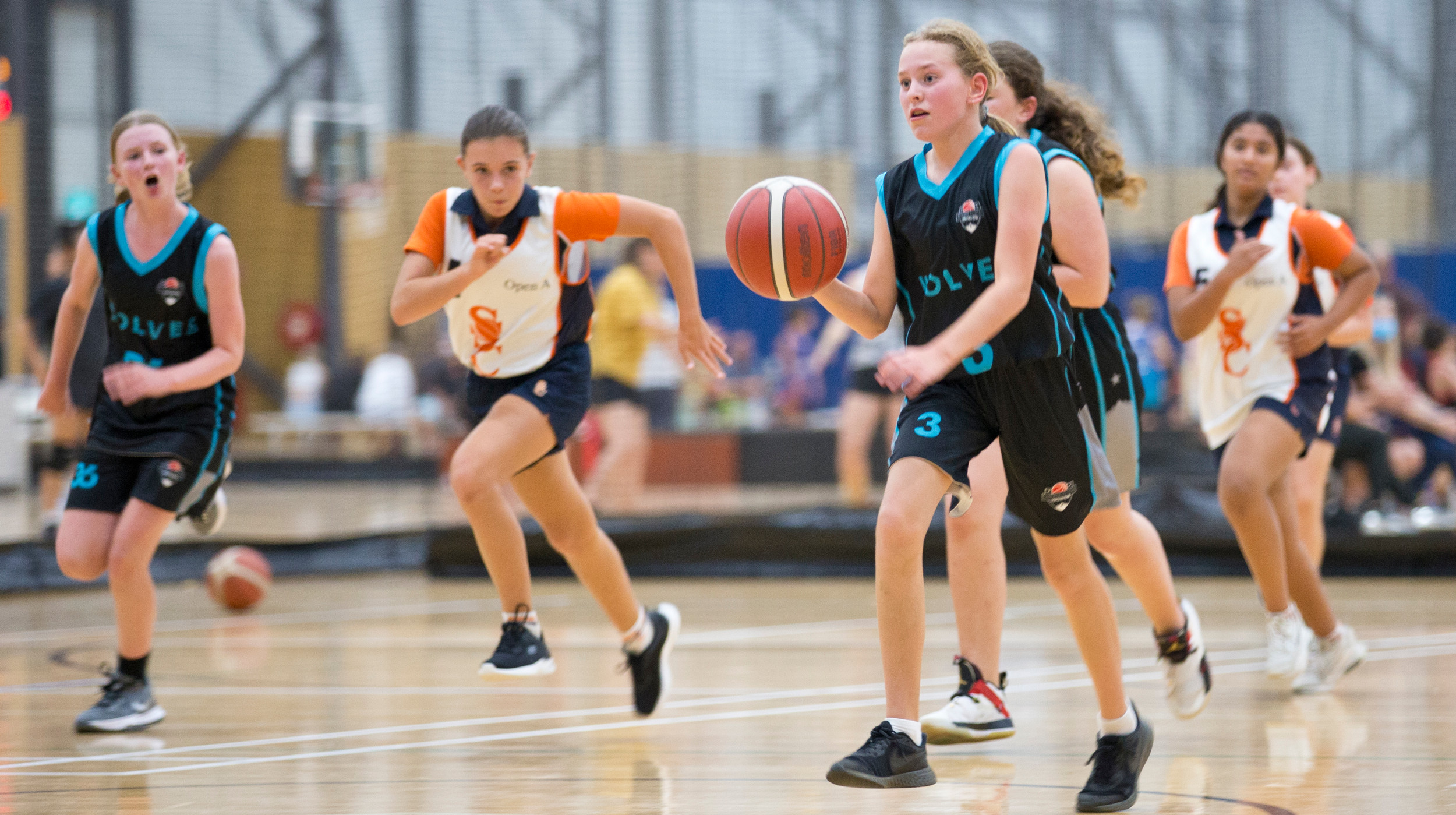 REGISTER TO PLAY | WOLVES TAMBORINE MOUNTAIN BASKETBALL | SCENIC RIM ...