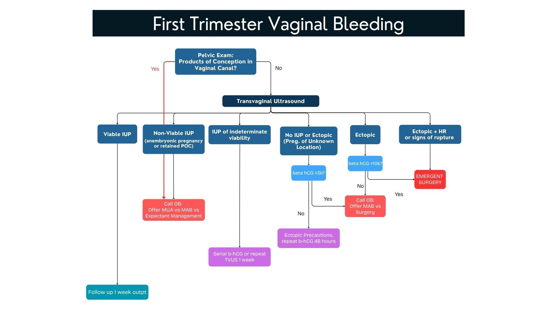 First Trimester Vaginal Bleeding | WomensHealth-EM
