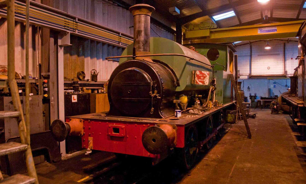 Wissington Returns to the NNR