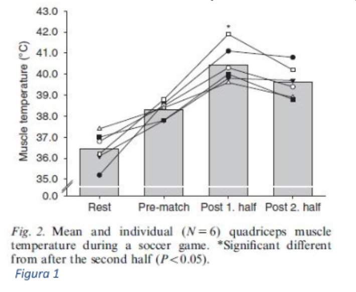 LA FATICA: definizione e caratteristiche
