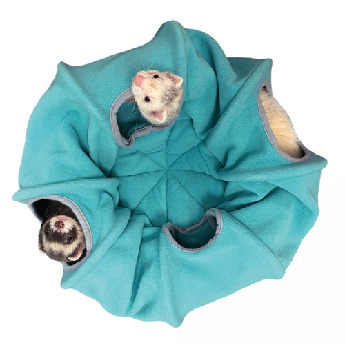 Ferret-Go-Round | Marshall Pet Ferrets