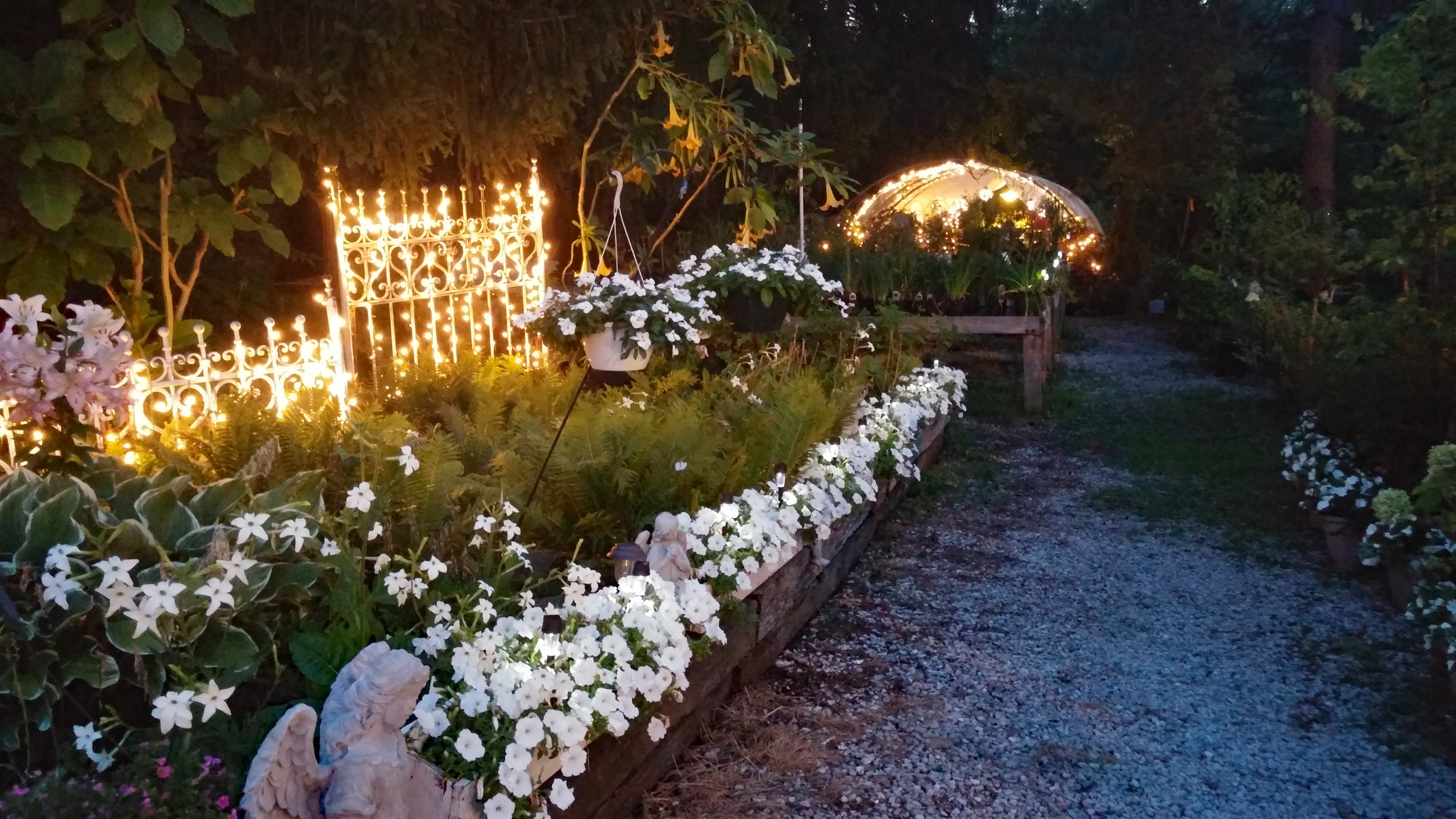 A Midsummer's Night Garden Event | auburnpointe