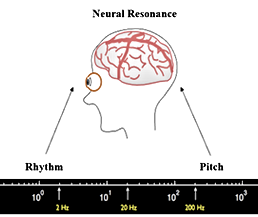 Multiscale approaches to music and the embodied brain, Neural Press ...