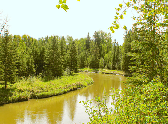 Photos | River Ridge RV Park