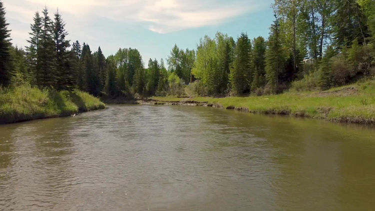 Videos | River Ridge RV Park