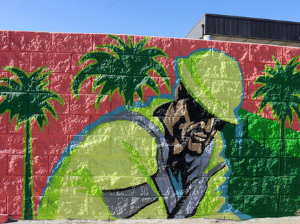 Projects | Completed Murals | Trinity Rivard