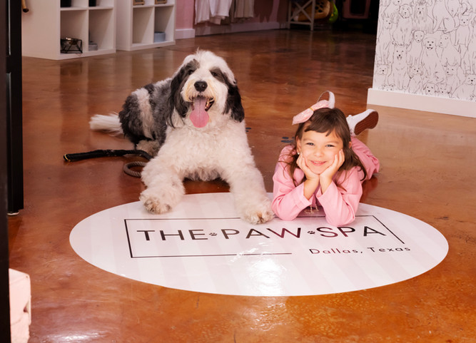The Paw Spa Dallas | dog grooming | 1623 Main St #106, Dallas, TX 75201 ...