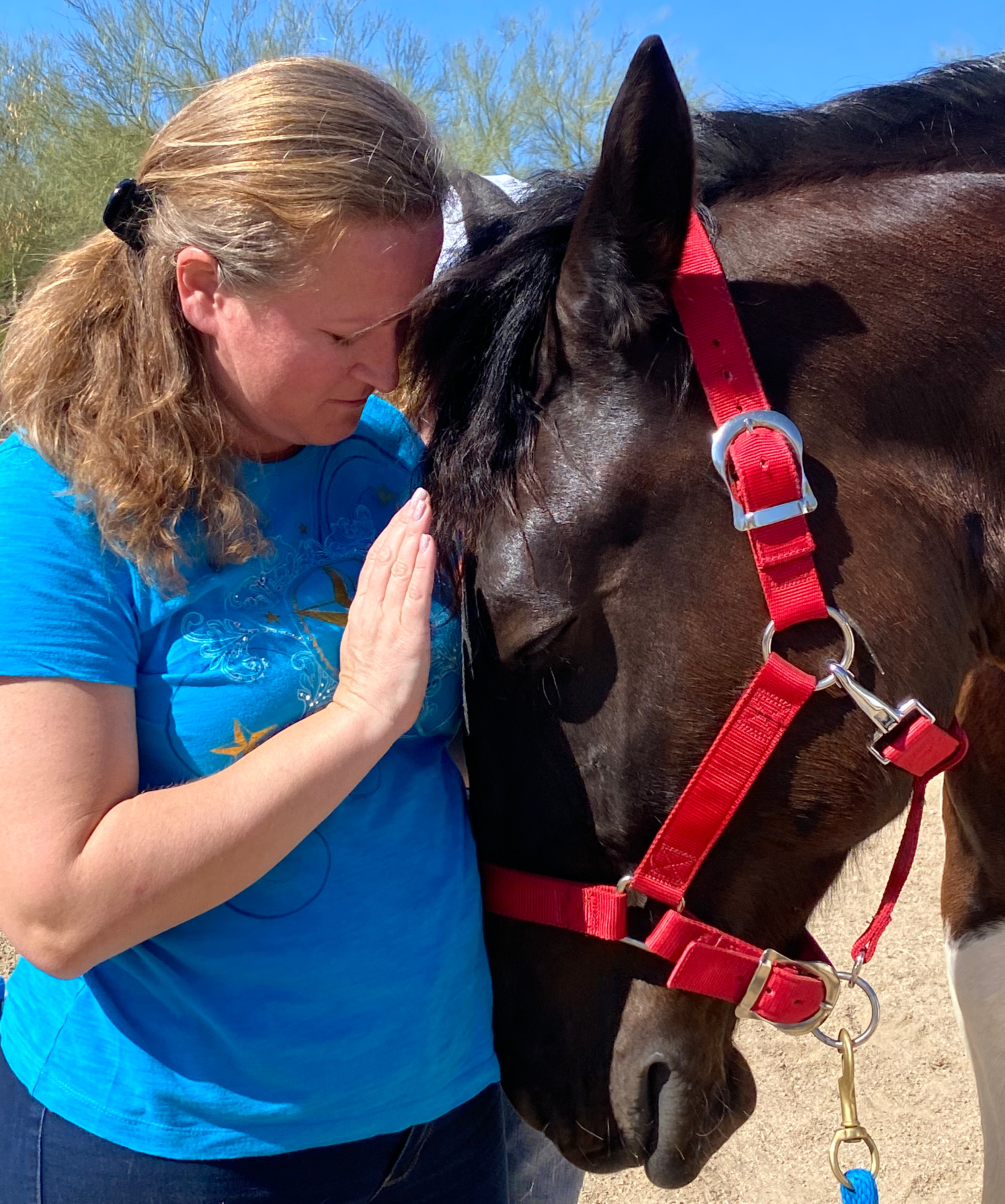 Hoofbeats of Healing: Exploring Equine Assisted Coaching's Influence on ...