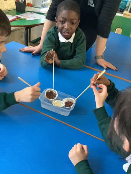 Year 2 Science Day 2024 | Elston Hall