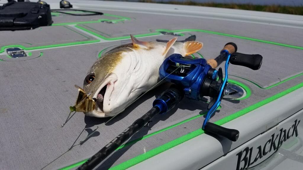 Louisiana Company - Locally Owned | Marsh Demon Lures