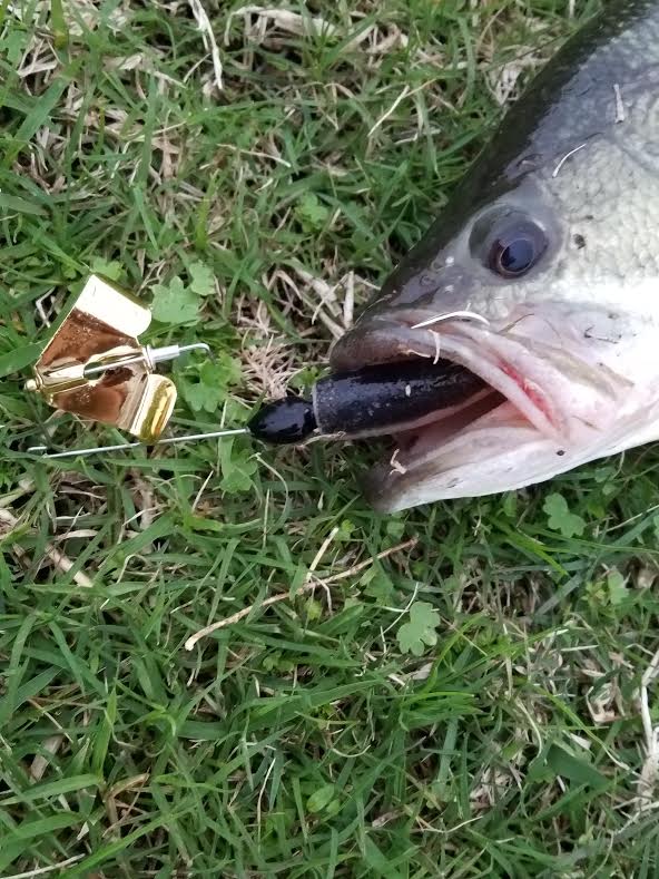 Louisiana Company - Locally Owned | Marsh Demon Lures