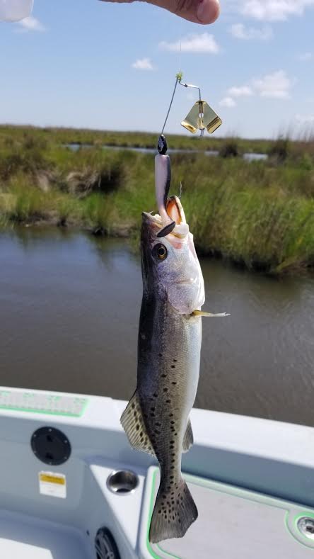 Louisiana Company - Locally Owned | Marsh Demon Lures