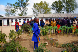 Home | SCOPE Zimbabwe