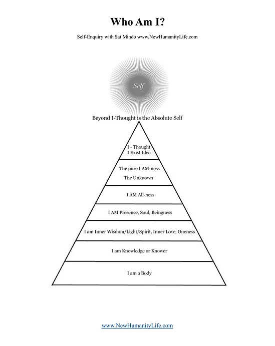 Self-Inquiry | Most Effective Practice | Sat Mindo