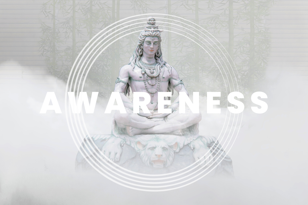 Awareness Awakening