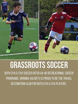 Travel Soccer | Virginia Valor Fc