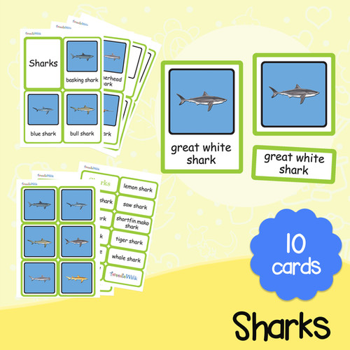 Sharks | Printable Montessori Flashcards | 10 Cards | Right Brain Kids