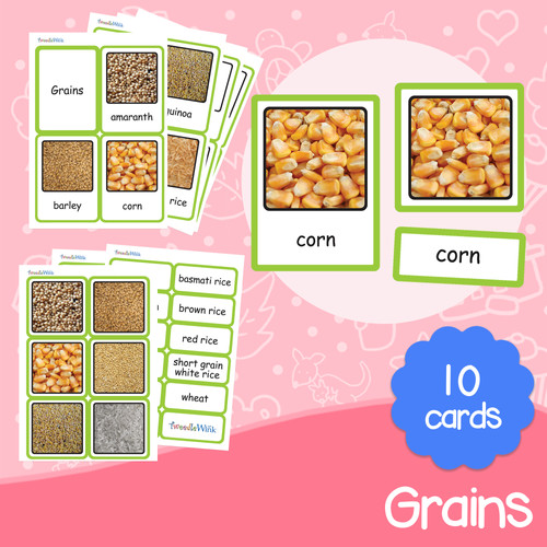 Grains | Printable Montessori Flashcards | 10 Cards | Right Brain Kids
