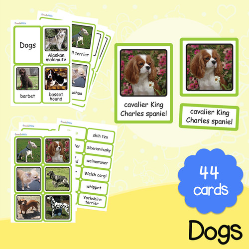 Dogs | Printable Montessori Flashcards | 44 Cards | Right Brain Kids