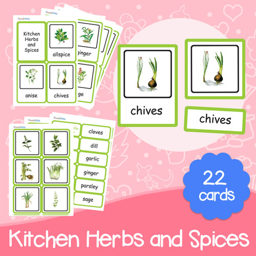 Kitchen Spices and Herbs | Printable Montessori Flashcards | 22 Cards ...