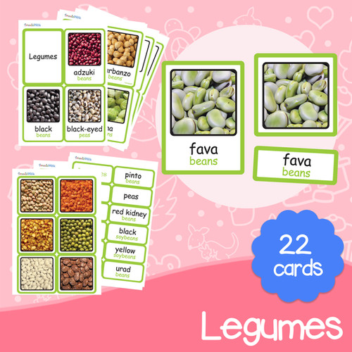 Legumes | Printable Montessori Flashcards | 22 Cards | Right Brain Kids