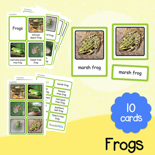 Frogs | Printable Montessori Flashcards | 10 Cards | Right Brain Kids