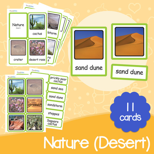 Nature (desert) | Printable Montessori Flashcards | 11 Cards | Right ...