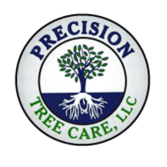 Arborist Tree Service | Precision Tree Care LLC | United States