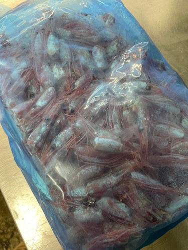 ️アマエビ頭 / Ama Ebi Head 1.5kg / Pack (Hokkaido) | FAJ Recommend List