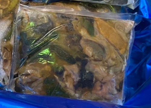 ️ 黒アワビ肝 / Black Abalone Liver 1kg Pack | FAJ Recommend List