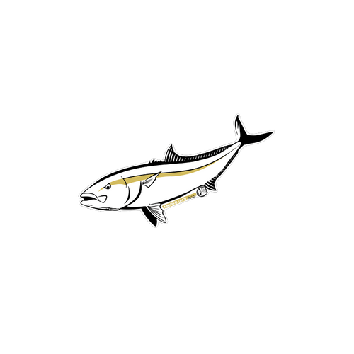 Sticker Amberjack cm 60x24 | hotspotdesign.com